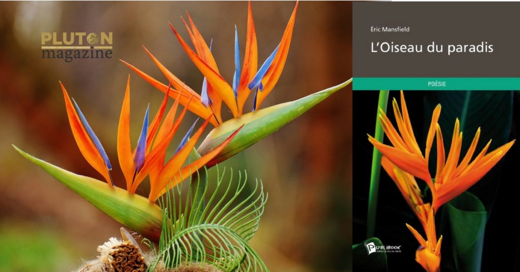 Une promenade en poésie – saison 2: Eric Mansfield – Pluton Magazine