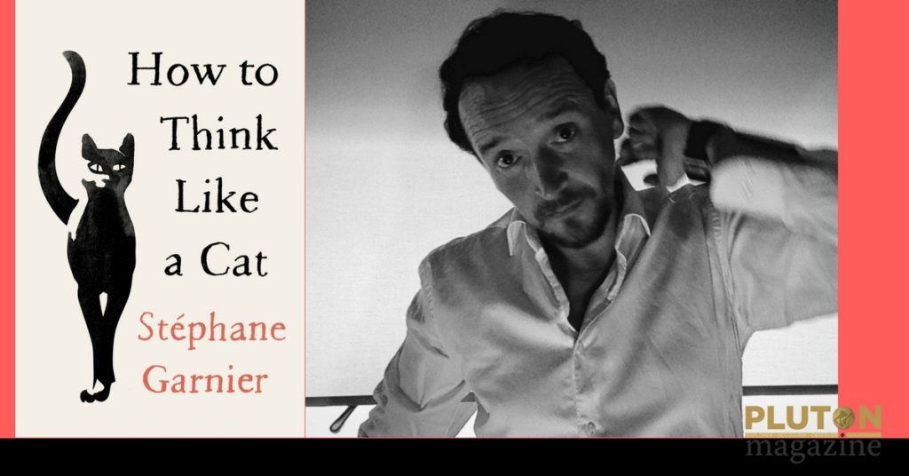 « How to think like a cat » by Stéphane GARNIER – Pluton Magazine